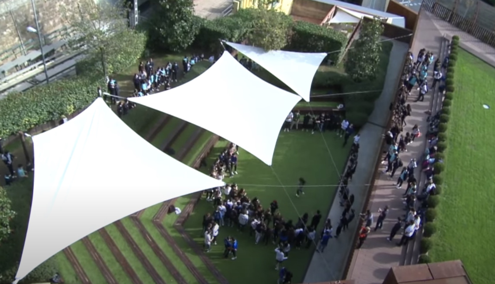 El Bosque como Escuela « NATIVES